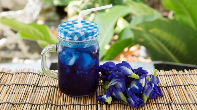 How to Make Blue Juice - Blue Pea Juice | Jucesip