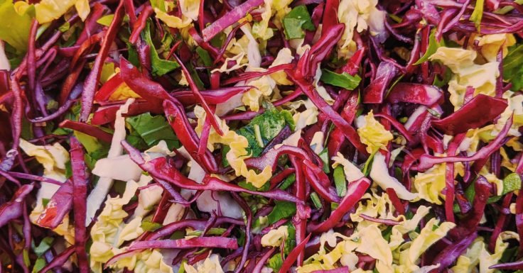 How to Shred Cabbage in Food Processor: Fastest and Easiest Way